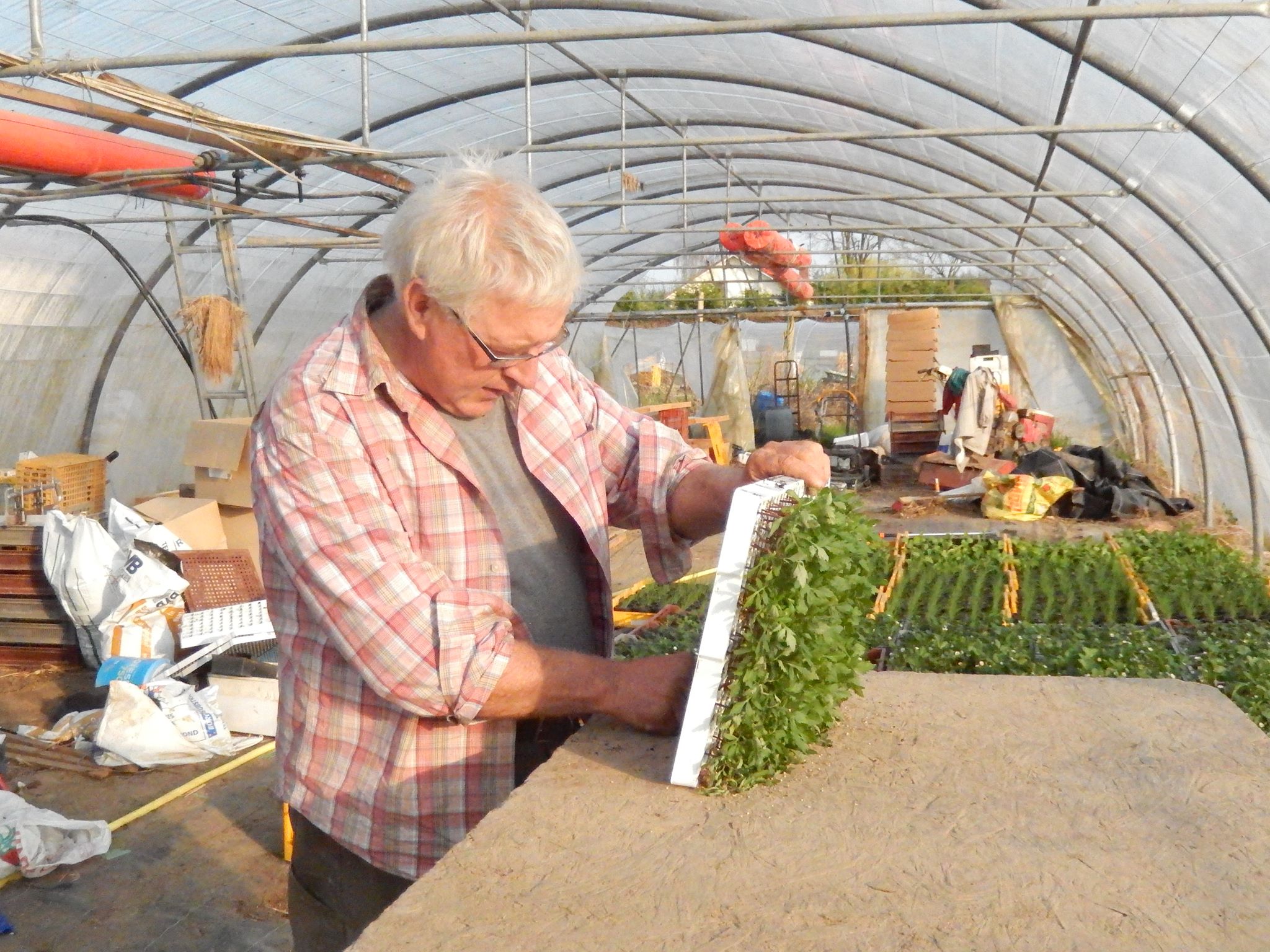 Yves-André – Maraîcher – À Ma Pomme – AMAP Lille